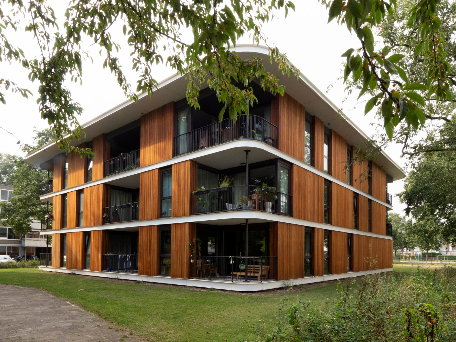 Obèche Noir - Noirwood