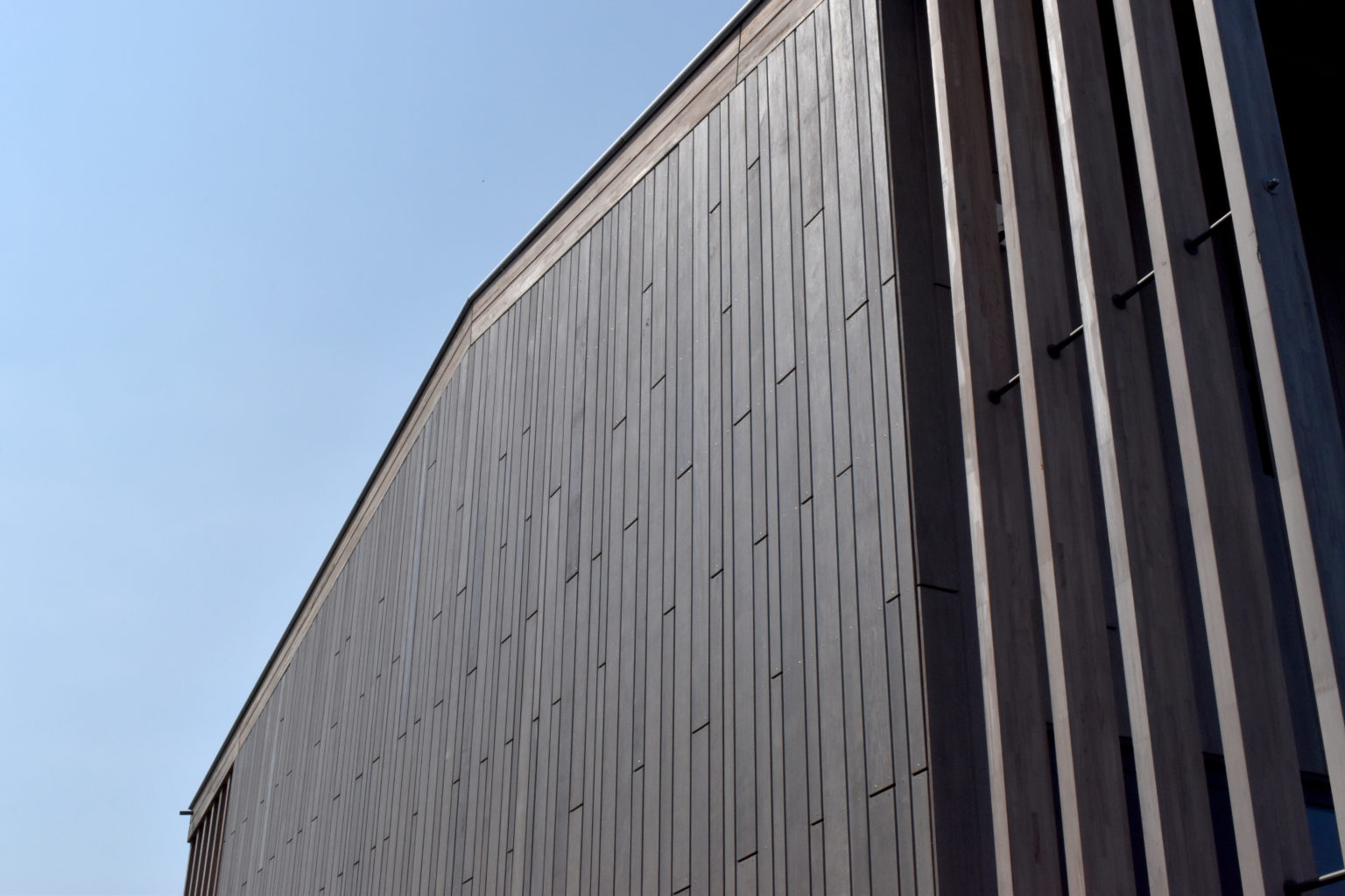 Fraké Noir - Noirwood