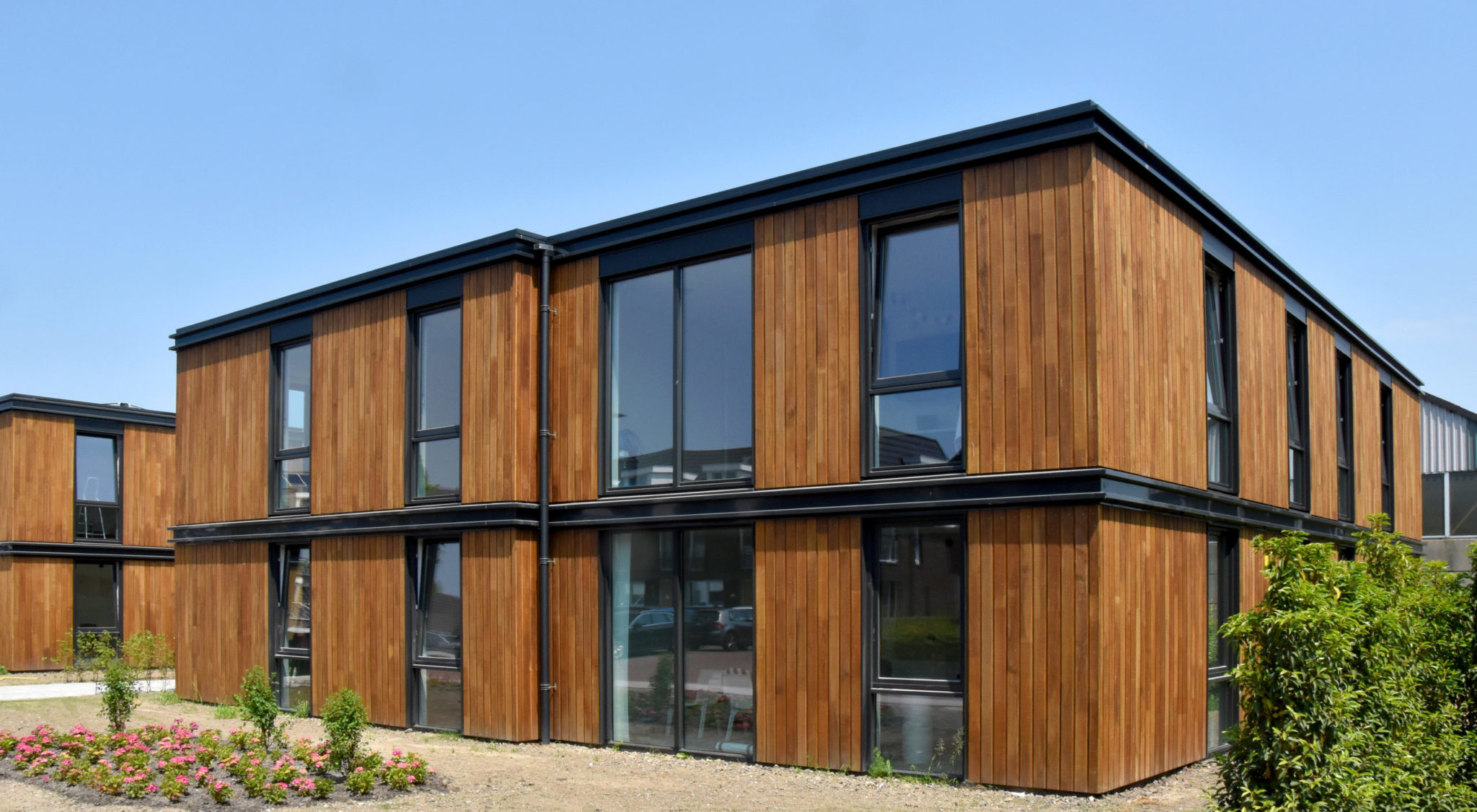 Fraké Noir - Noirwood