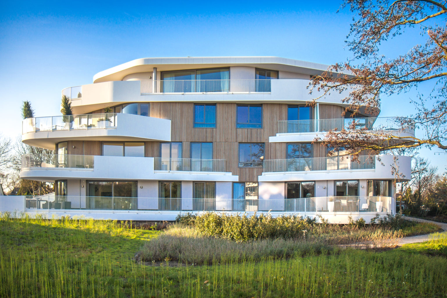 Fraké Noir - Noirwood