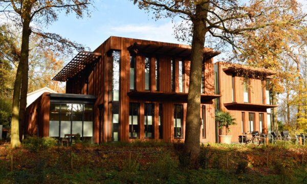 Fraké Noir - Noirwood