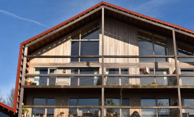 Obèche Noir - Noirwood